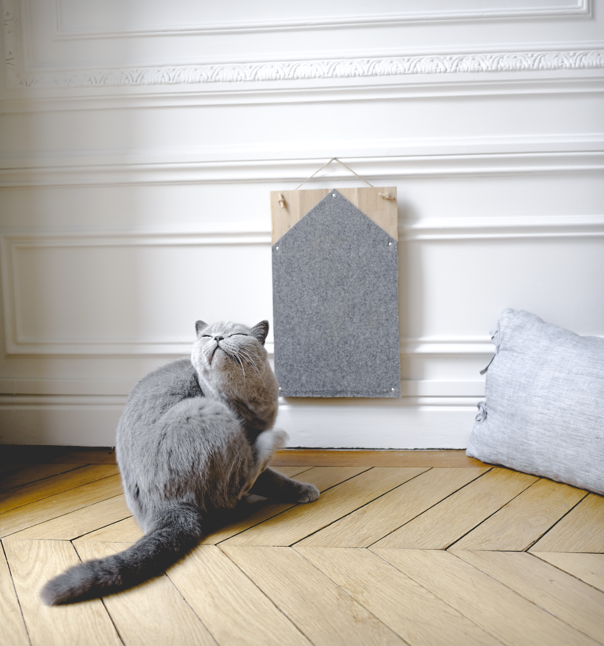 DIY | UN GRIFFOIR MAISON vraiment maison - ONLY MILK